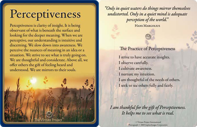 Perceptiveness – Strength Solutions, Inc.